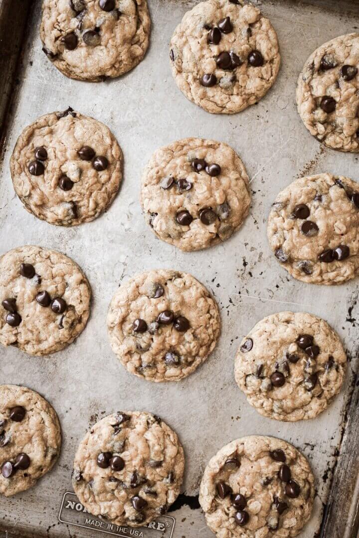 Soft and Chewy High Altitude Oatmeal Chocolate Chip Cookies - Curly ...