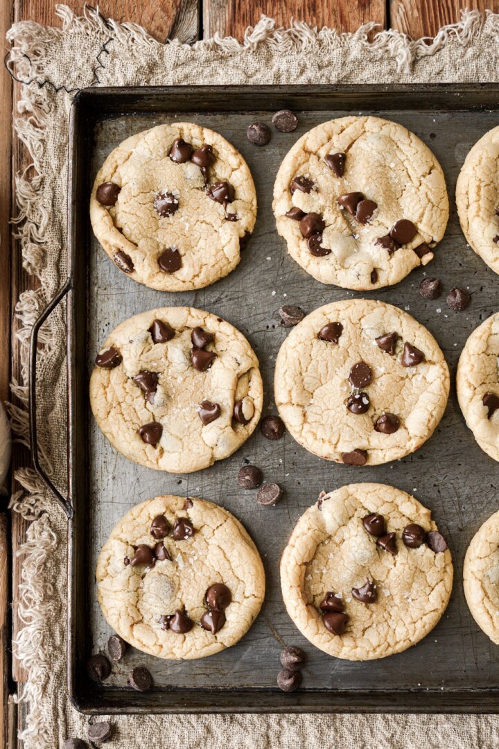 High Altitude Olive Oil Chocolate Chip Cookies (Dairy Free) - Curly ...