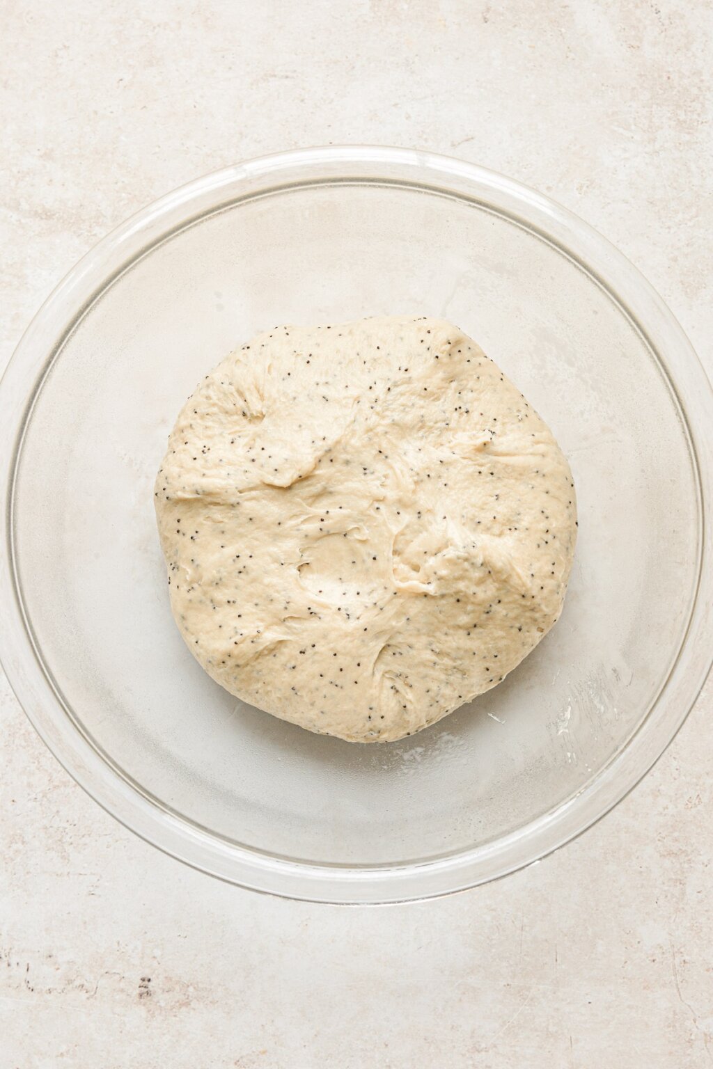 High Altitude Honey Poppy Seed Dinner Rolls - Curly Girl Kitchen