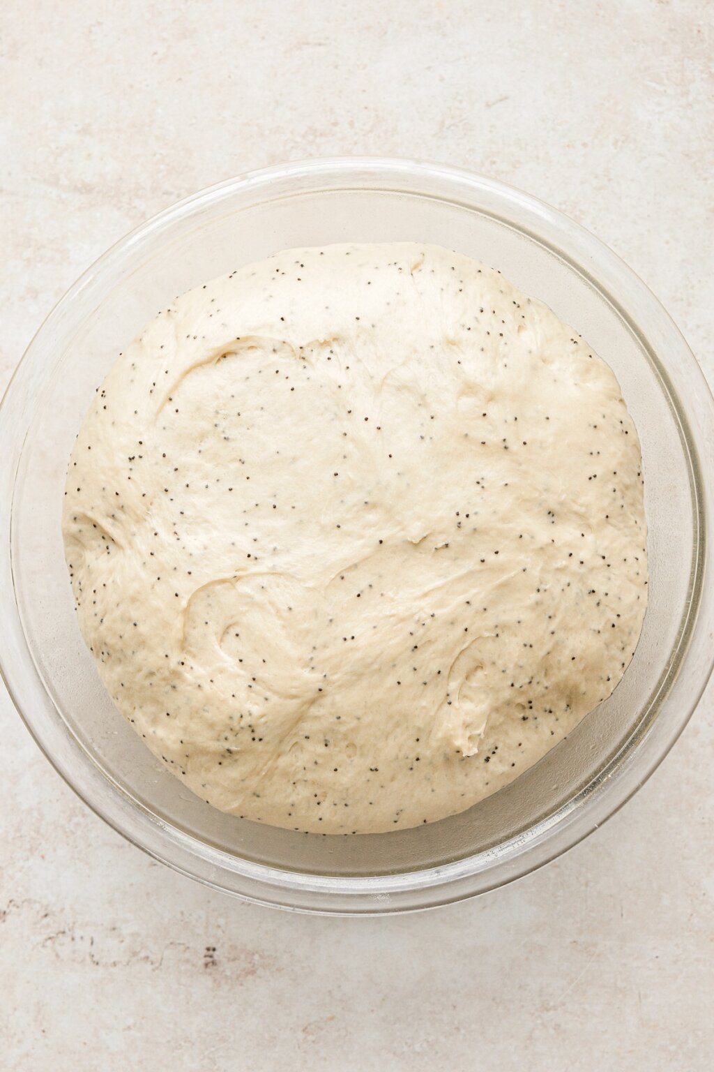 High Altitude Honey Poppy Seed Dinner Rolls - Curly Girl Kitchen