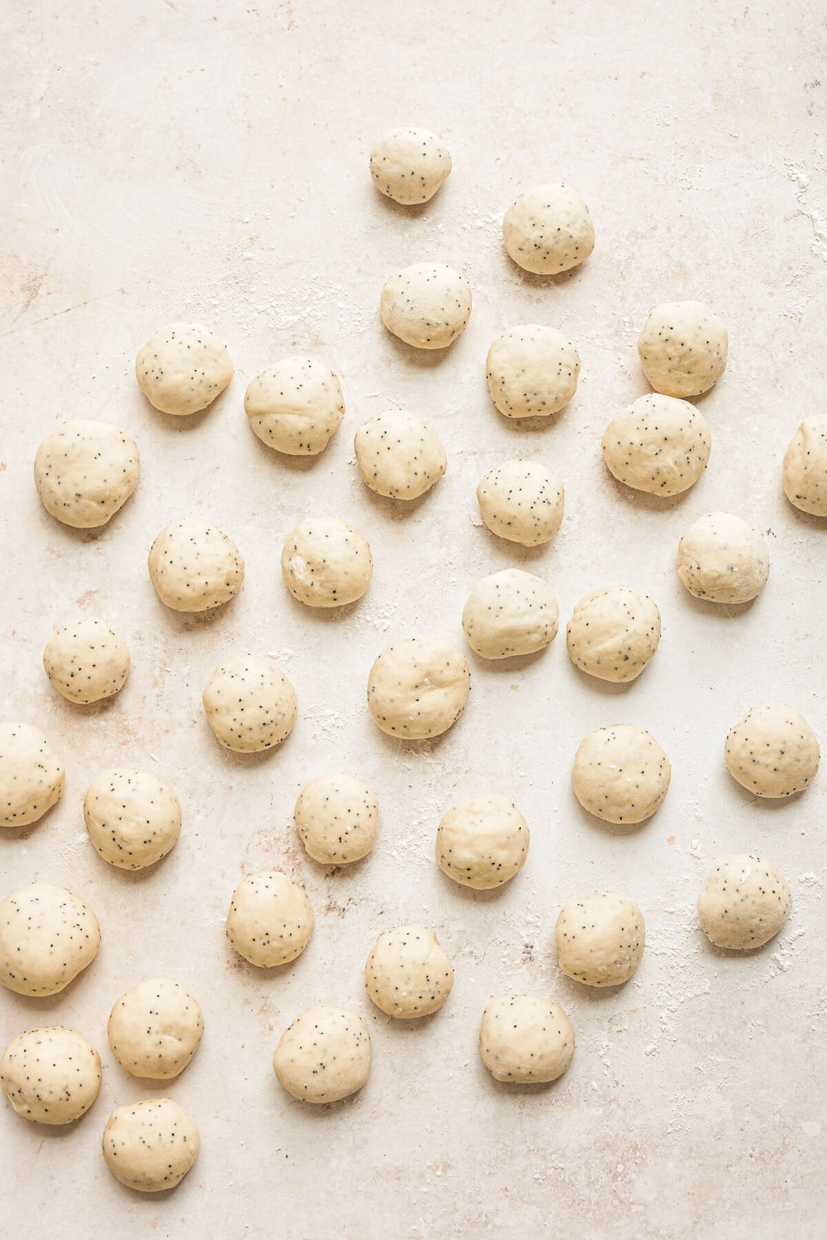 High Altitude Honey Poppy Seed Dinner Rolls - Curly Girl Kitchen
