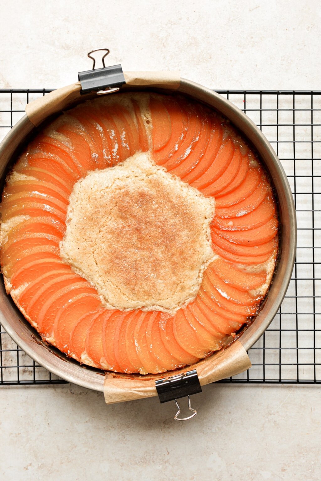 High Altitude Apricot Almond Torte - Curly Girl Kitchen