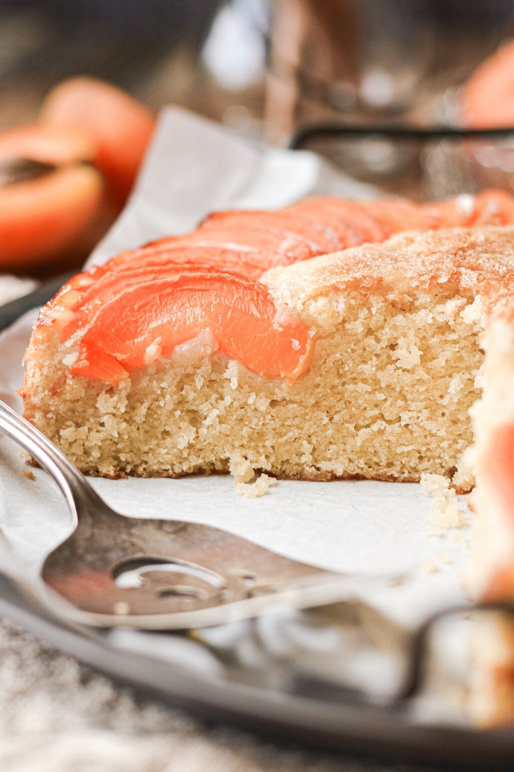 High Altitude Apricot Almond Torte - Curly Girl Kitchen