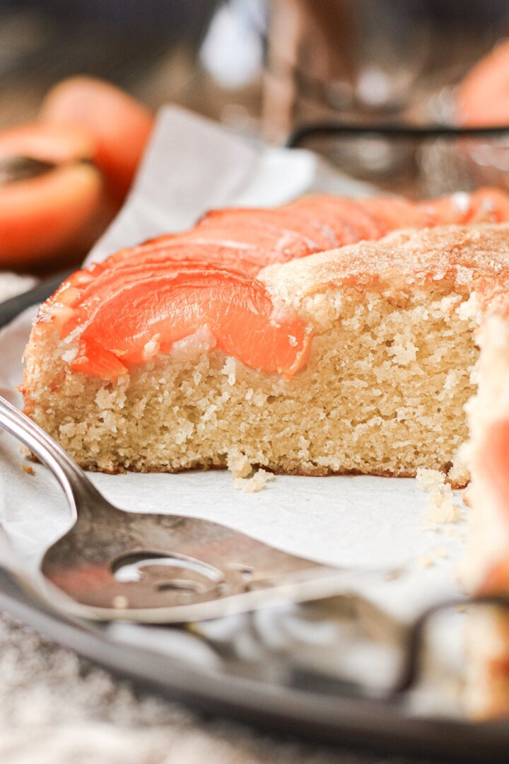High Altitude Apricot Almond Torte - Curly Girl Kitchen
