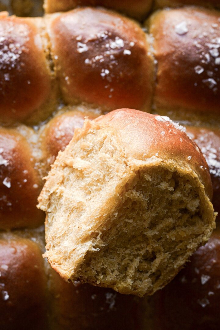 High Altitude Sweet Potato Dinner Rolls - Curly Girl Kitchen