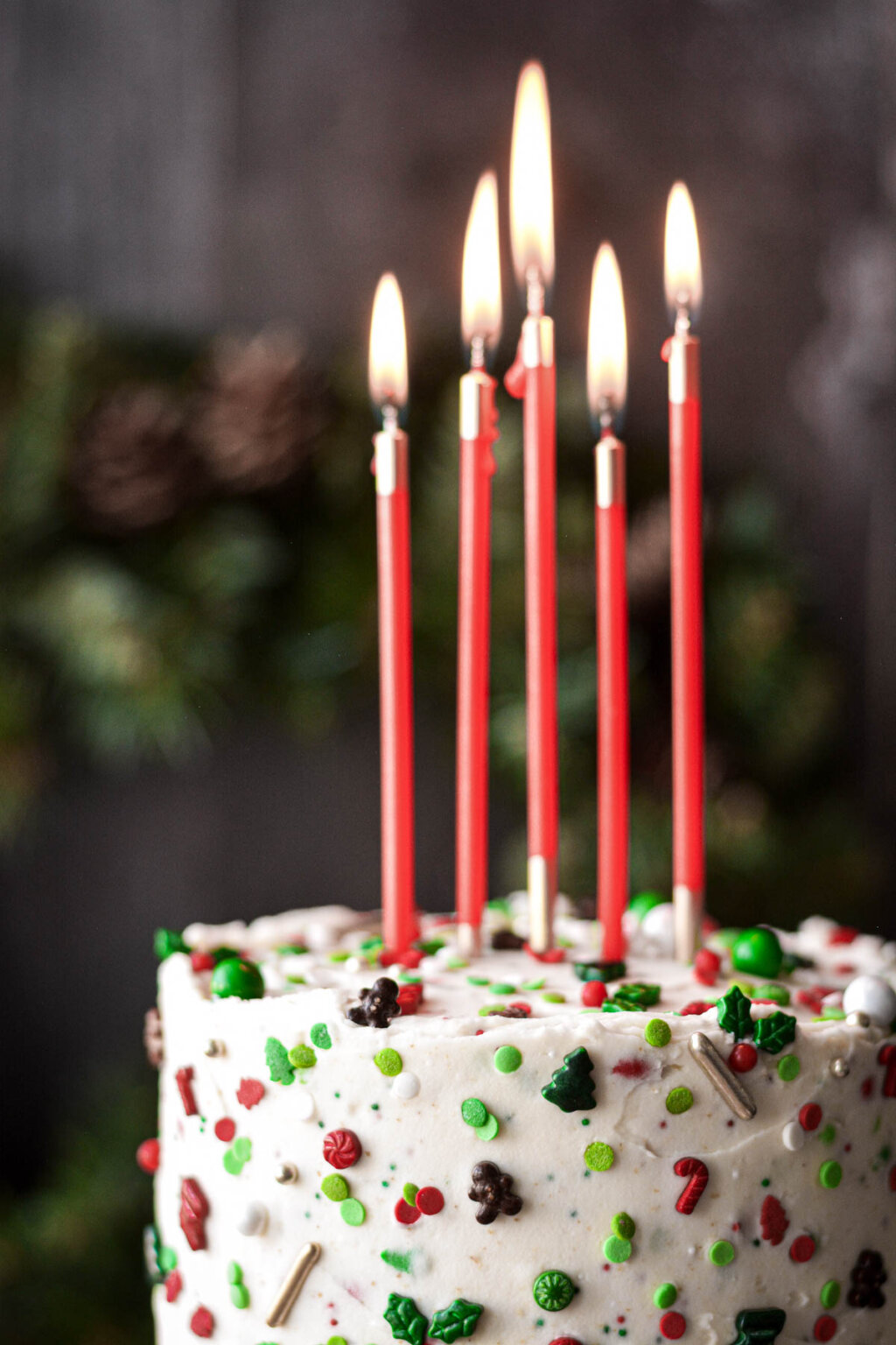 High Altitude Cardamom Orange Christmas Sprinkle Cake - Curly Girl Kitchen