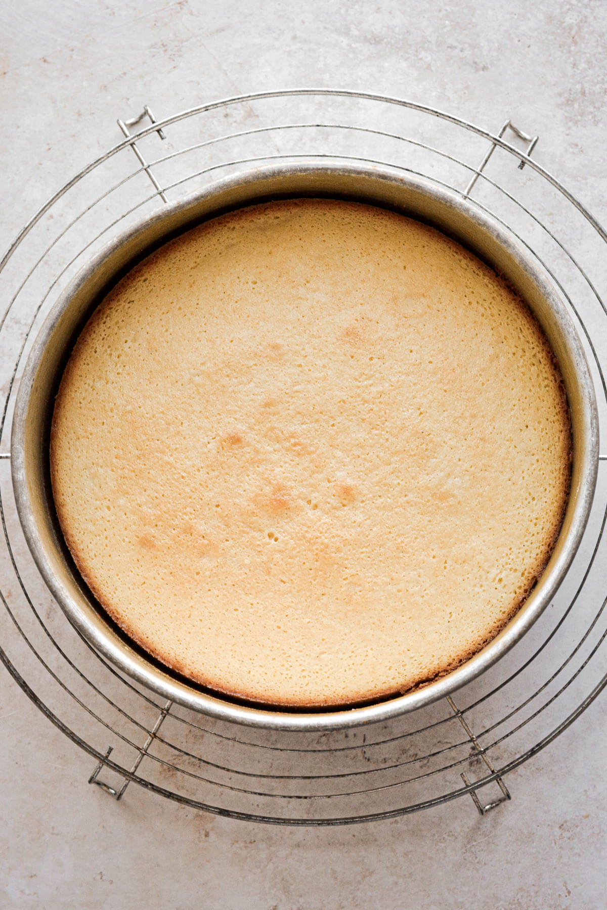 High Altitude Lemon Bar Cake - Curly Girl Kitchen