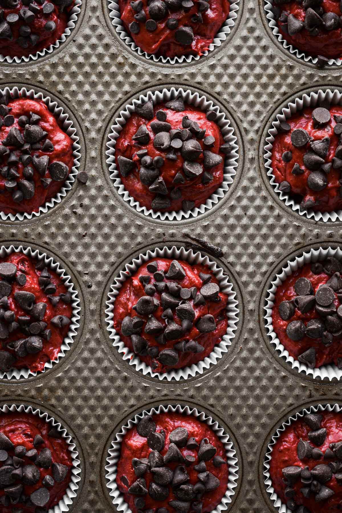 High Altitude Red Velvet Chocolate Chip Muffins - Curly Girl Kitchen