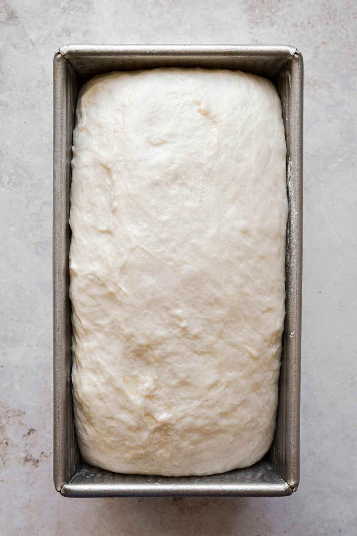 High Altitude Peasant Bread - Curly Girl Kitchen